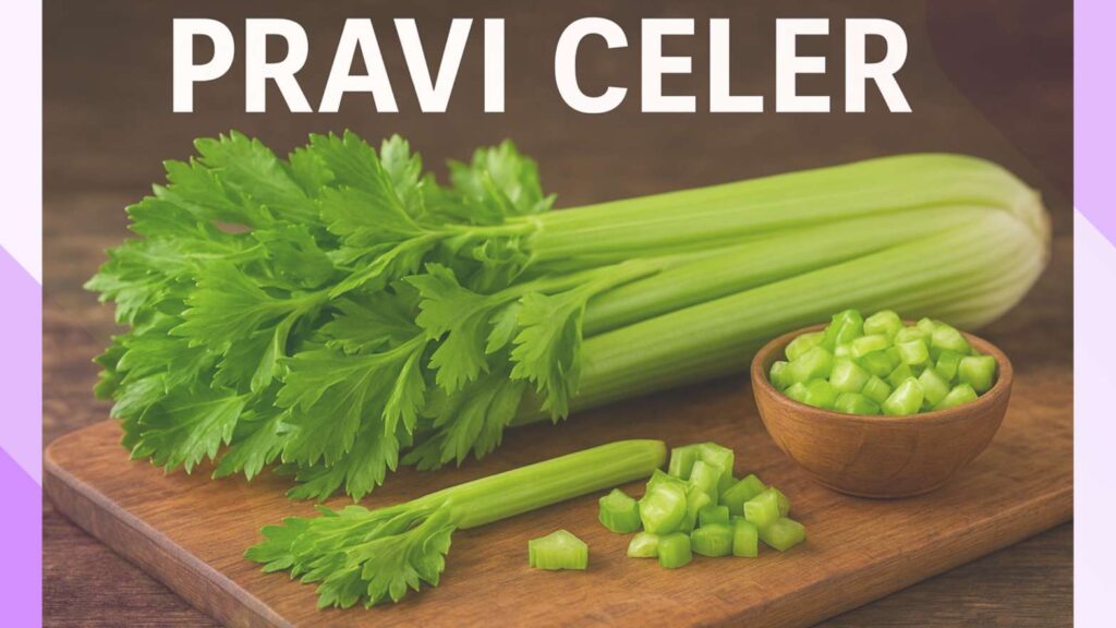 Pravi Celer A Complete Guide to Its Nutrition Benefits